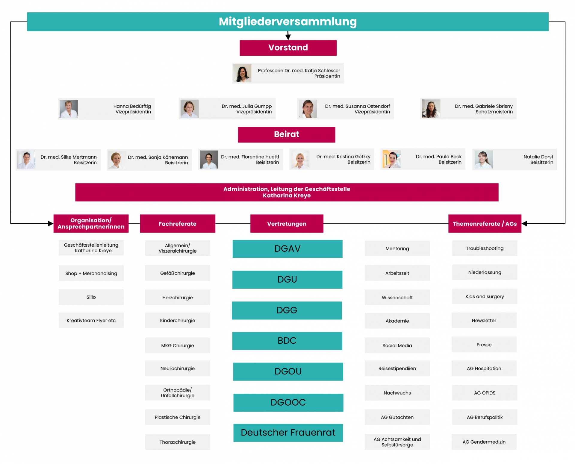 Organigramm | DIE CHIRURGINNEN E.V.